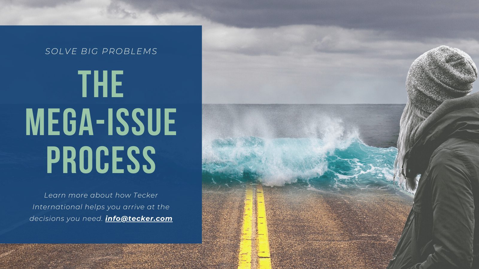 The Mega-Issue Process in a Nutshell - Tecker International Consulting